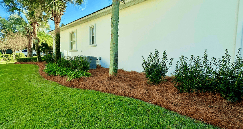 Does Pine Straw Actually Help My Landscaping? - Valerio's Landscaping